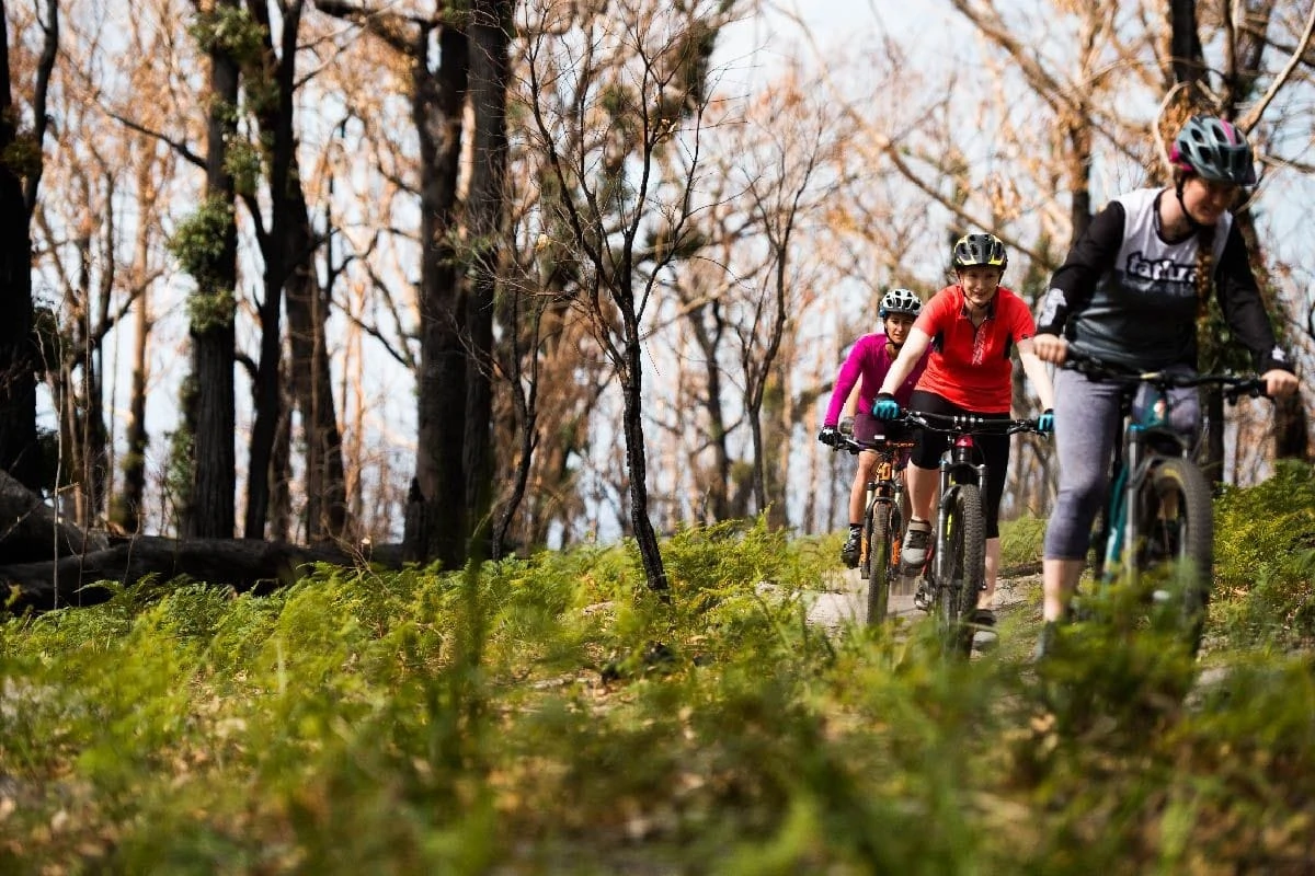 South Coast Region – MTB Adventure on NSW’s South Coast